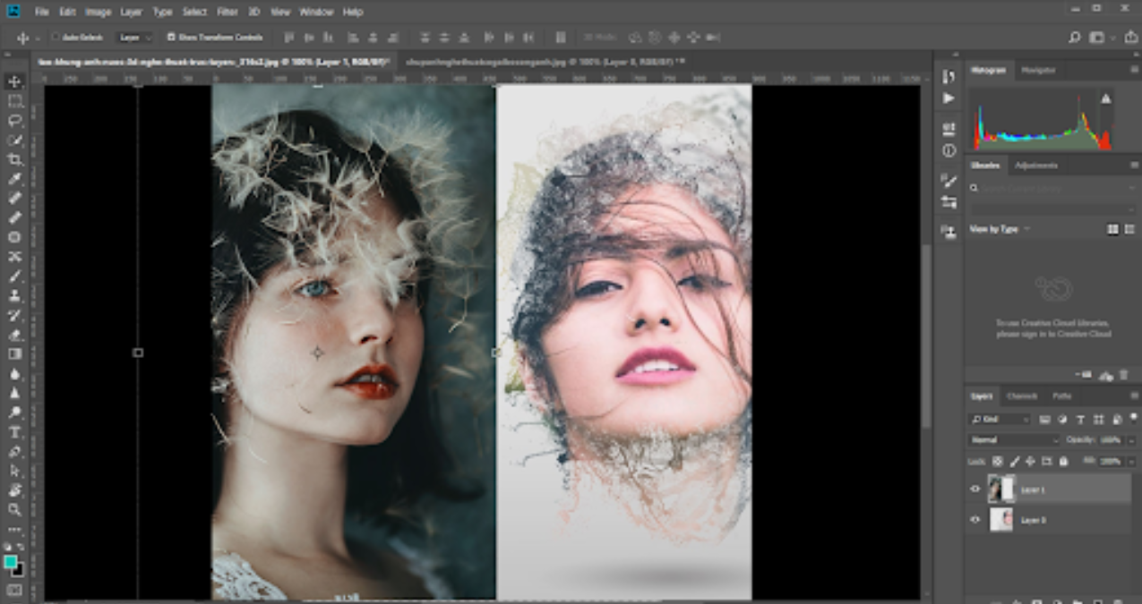 Mastering Layers, Transforms & Image Resizing Tools In Photoshop